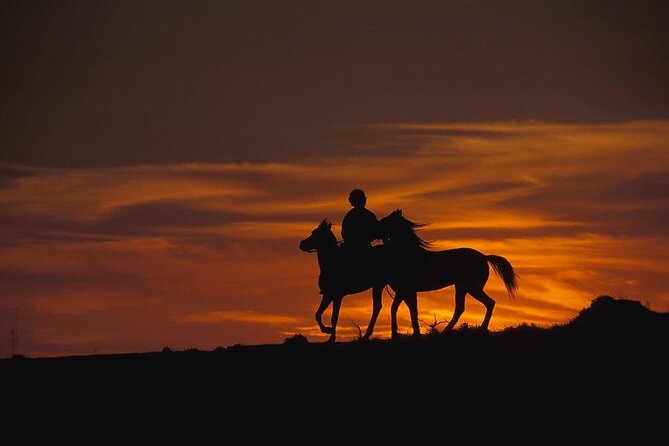 2 Hours Horse Riding Safari in Cappadocia ( Transfer Include ) - Horses and Safety