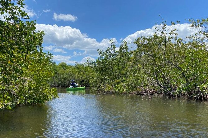 2 Hours Kayak Eco Tour in Tarpon Springs - Whats Included in Your Kayak Experience