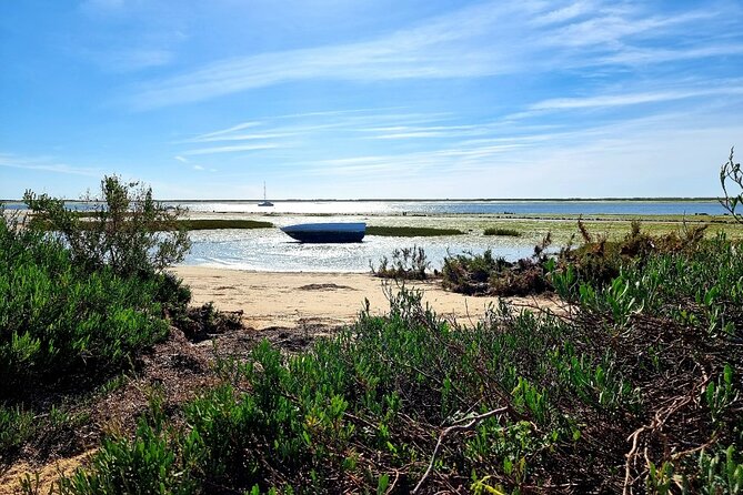 2 Hours Kayak Island Tour in the Natural Park of Ria Formosa - The Experience: What Youll Feel and See