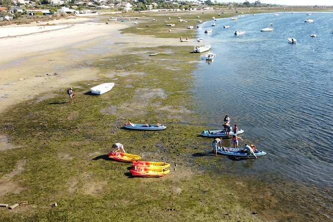 2 Hours Kayak Island Tour in the Natural Park of Ria Formosa - FAQs
