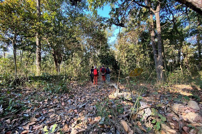 2 Hours Nature Walk in Chitwan National Park - Discovering Chitwan’s Natural Beauty