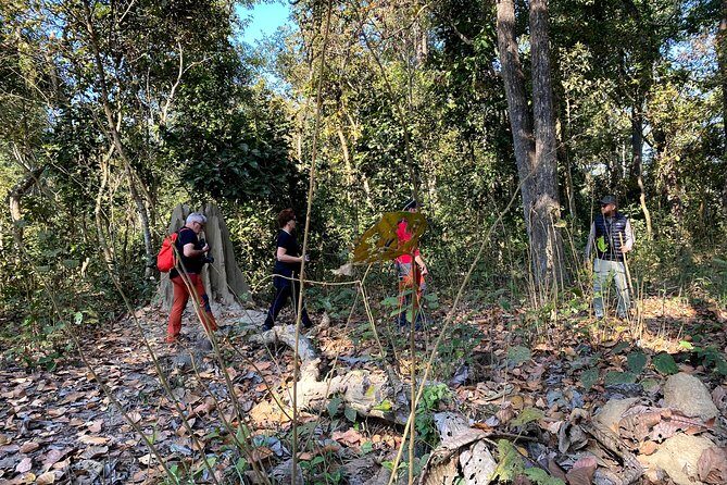 2 Hours Nature Walk in Chitwan National Park - Who Should Consider This Tour?