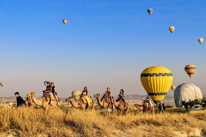 2 Hours of Camel Safari in Cappadocia - The Experience Itself: What to Expect