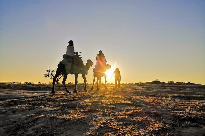 2 Hours of Camel Safari in Cappadocia - Price and Value