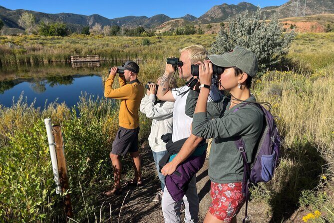 2 Hours of Mindful Bird Watching near Denver - A Close Look at 2 Hours of Mindful Bird Watching near Denver