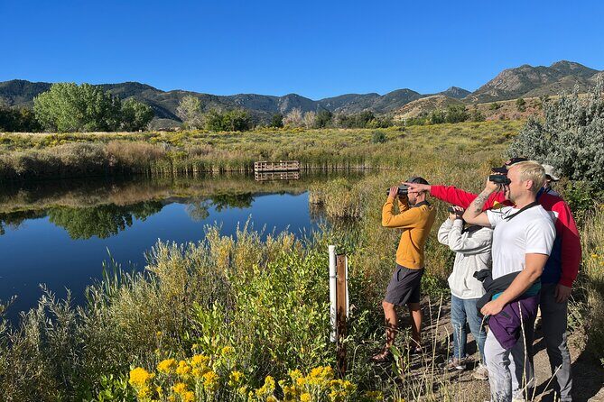 2 Hours of Mindful Bird Watching near Denver - Key Points