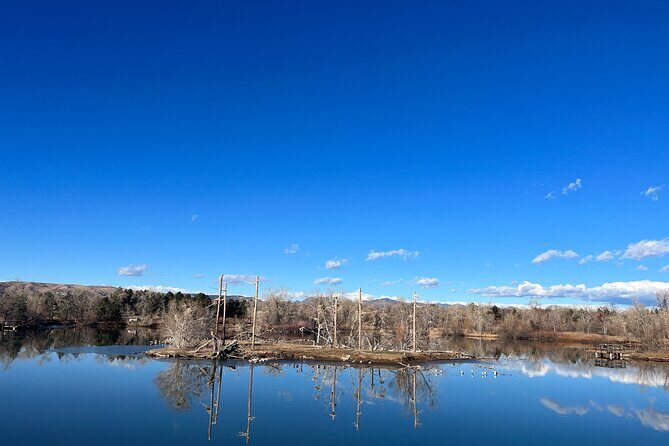 2 Hours of Mindful Bird Watching near Denver - Price and Value