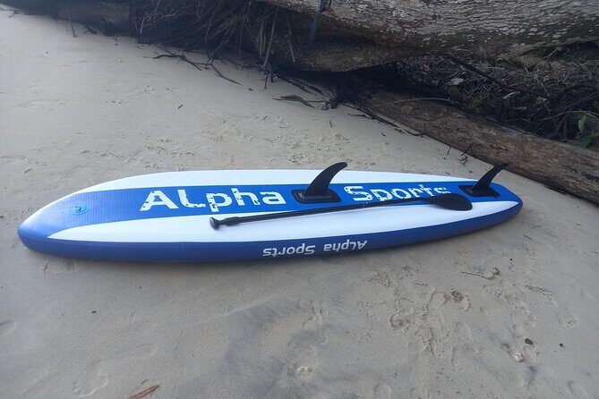 2 Hours Paddle Board Experience in Chaguaramas. Snorkeling also. - Discovering Trinidad’s Waters: A Review of the 2-Hour Paddle Board Experience in Chaguaramas