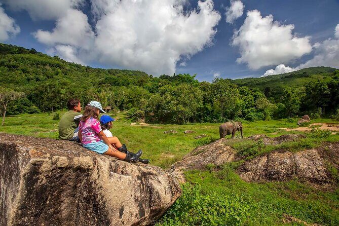 2 Hours Phuket Ethical Elephant Nature Park Visit - Key Points