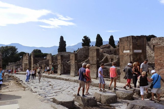 2 Hours Pompeii Tour With Local Historian - Ticket Included - Exploring Pompeiis Preserved Ruins