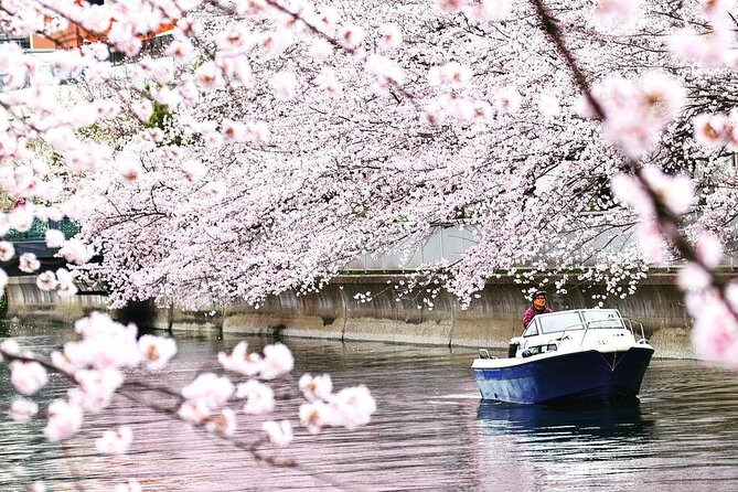 2 Hours Private Cruising Boat Tour;Tokyo Bay & River - Explore Tokyo Bay and River