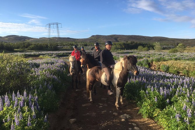 2 Hours Private Horse Riding to Lake Hafravatn, Reykjavík - Mos - Activity Details