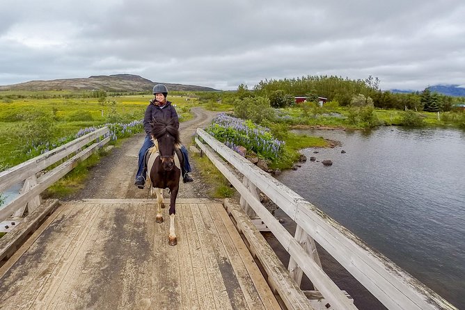 2 Hours Private Horse Riding to Lake Hafravatn, Reykjavík - Mos - Participation Requirements