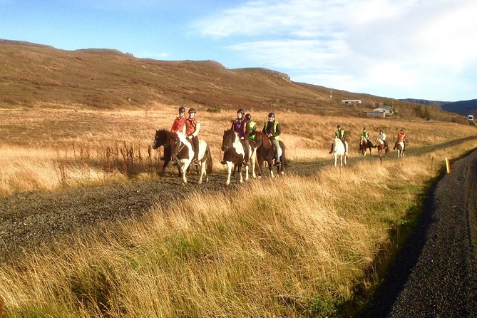 2 Hours Private Horse Riding to Lake Hafravatn, Reykjavík - Mos - Customer Feedback