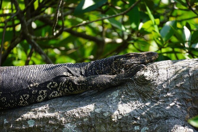 2 hours private Madu River Safari - FAQ