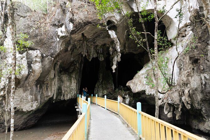 2 Hours Private Mangrove Tour Langkawi - Why This Tour Offers Good Value