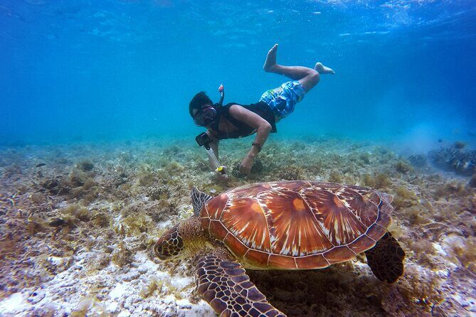 2 hours Private Snorkeling tour in Unawatuna - Key Points