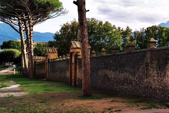 2 Hours Private Tour in Pompeii With Archaeologist - Booking Information