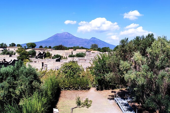 2 Hours Private Tour in Pompeii With Archaeologist - About the Tour Guide