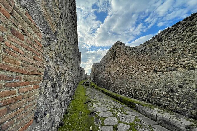 2 Hours Private Tour of Pompeii for Journey Through Time - Overview of the Pompeii Private Tour