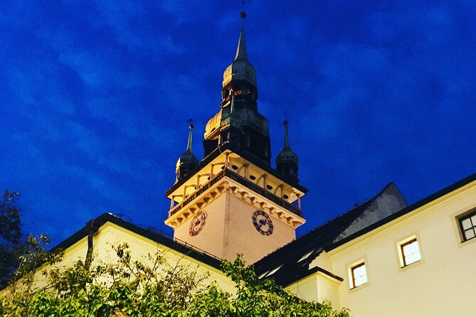 2 Hours Private Walking Tour in Brno - Introduction