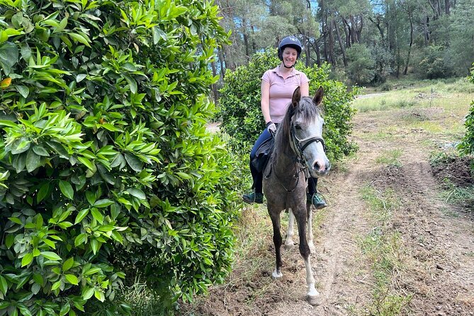2 Hours Shared Horse Riding in Kemer Antalya All Level Riders - The Sum Up