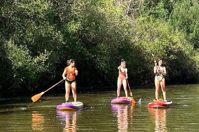 2 Hours SUP Activity on Arda River - The Practical Side: What to Know Before You Go