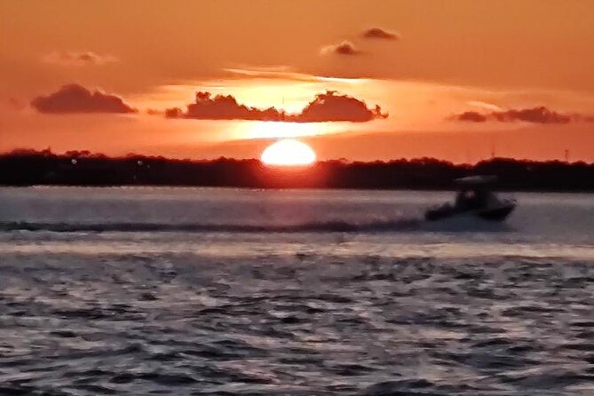 2 Hours Swim With the Dolphins in Panama City - Exploring the Marine Life