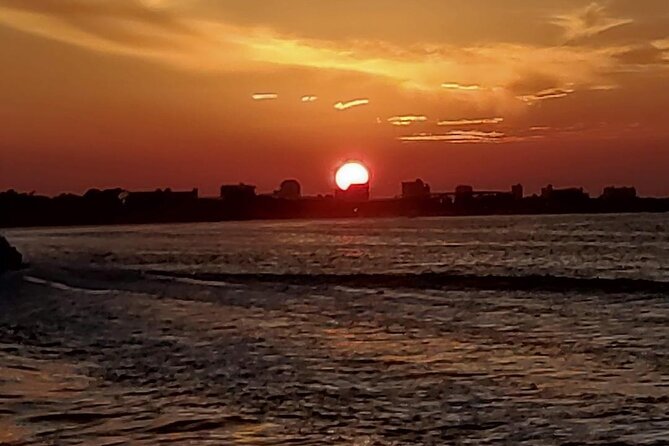 2 Hours Swim With the Dolphins in Panama City - Capturing Memorable Moments