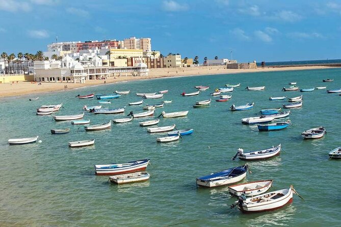 2 Hours Tour Around Cádiz: History, Anecdotes and Curiosities - Architectural Highlights and Curiosities