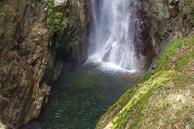 2 Hours Trekking Waterfall Tour in Tobago - Key Points