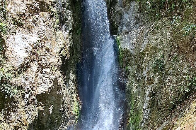 2 Hours Trekking Waterfall Tour in Tobago - Practical Tips for Participants
