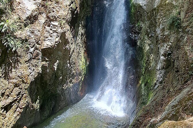 2 Hours Trekking Waterfall Tour in Tobago - FAQ