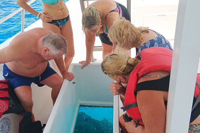 2 Hours Turtle Feeding, Shipwreck & Reef Snorkeling Tour Barbados - What Makes This Tour Stand Out?