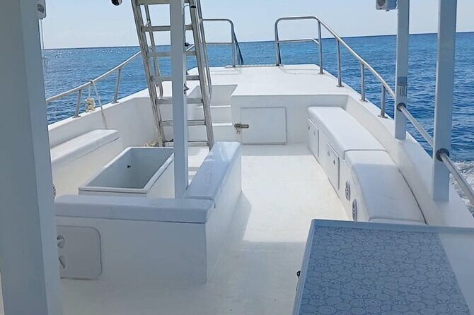 2 Hours Turtle Feeding, Shipwreck & Reef Snorkeling Tour Barbados - A Closer Look at the Experience: Pros and Cons