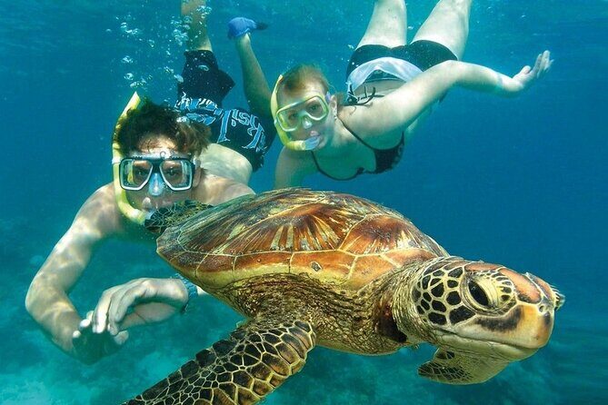 2 Hours Turtle Feeding, Shipwreck & Reef Snorkeling Tour Barbados - The Sum Up: Is This Tour Worth It?