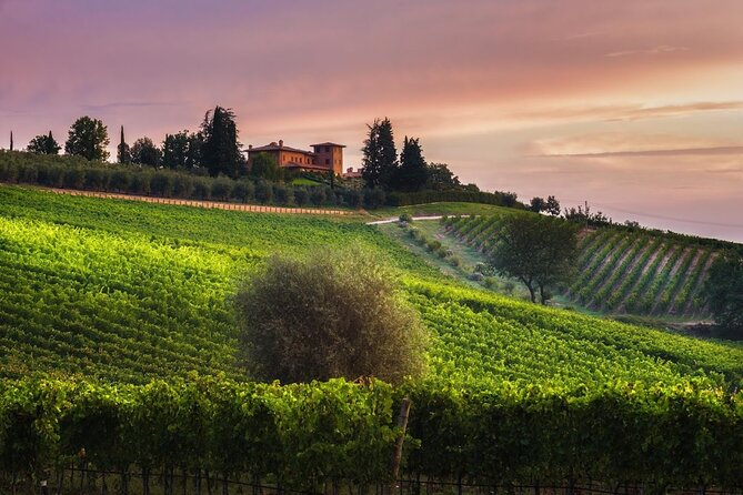 2 Hours Visit and Wine Tasting With Tastings in Val DORCIA - Key Points