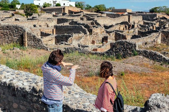 2 Hours Walking Tour in Pompeii With an Archaeologist - Customer Reviews and Experiences
