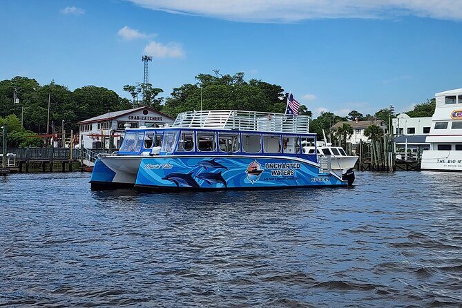 2 HR Dolphin Tour in North Myrtle Beach - An In-Depth Look at the 2-Hour Dolphin Tour