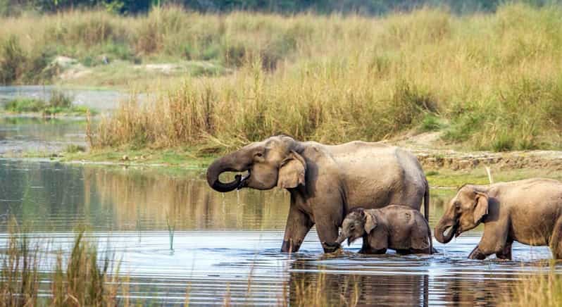 2 Night 3 Days Chitwan National Park/From Kathmandu/Pokhra - Is It Worth the Price?