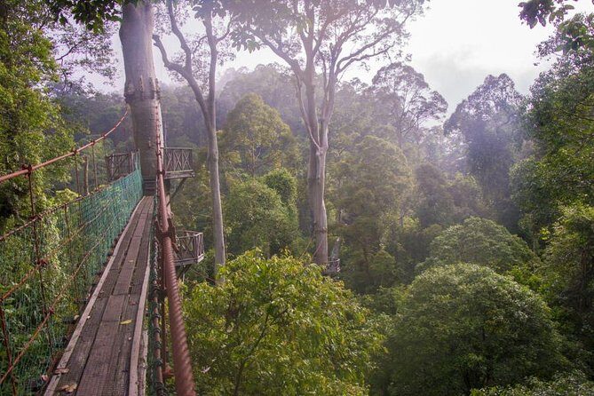2-Night Danum Valley Borneo Rainforest Lodge Hiking and Wildlife Adventure - What Travelers Say: Authentic Insights from Reviews