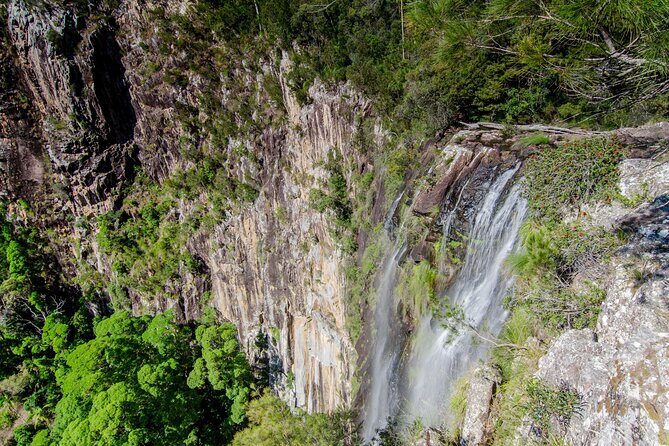 2 Night Rainforest Glamping Adventure near Byron Bay - A Well-Balanced Adventure in the Byron Bay Hinterland