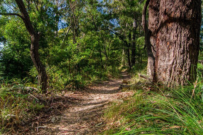2 Night Rainforest Glamping Adventure near Byron Bay - Who Will Love This Tour?