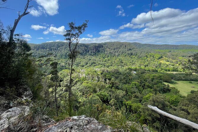2 Night Rainforest Glamping Adventure near Byron Bay - The Sum Up: Is It Worth It?