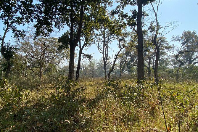 2 Nights 3 Days Chitwan Jungle Safari Tour - Who Will Love This Tour?