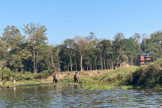 2 Nights 3 Days Chitwan Jungle Safari Tour - FAQ