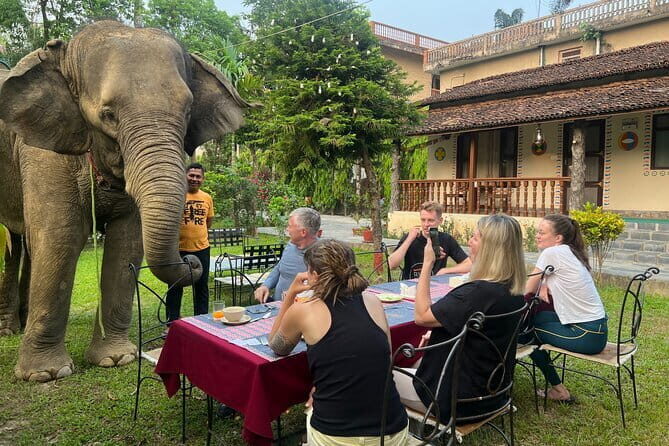 2 Nights 3 Days Chitwan National Park Package with Jeep Safari - Final Thoughts
