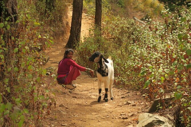 2 Nights / 3 Days Delhi to Mahavatar BabaJi Cave Tour in India - Final Thoughts
