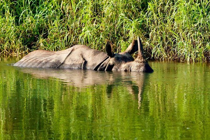 2 Nights Chitwan Luxury Tour from Kathmandu or Pokhara - A Closer Look at the Itinerary