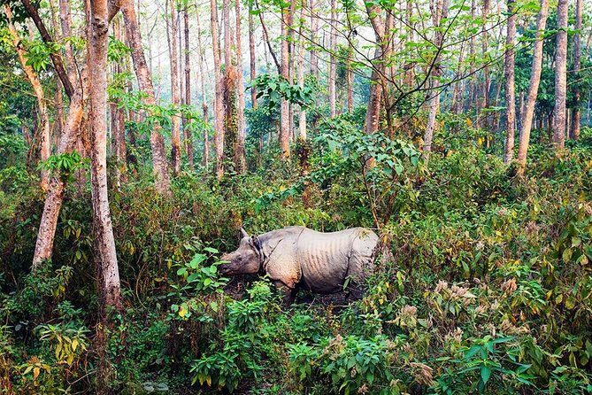 2 Nights Chitwan Luxury Tour from Kathmandu or Pokhara - Who Should Consider This Tour?